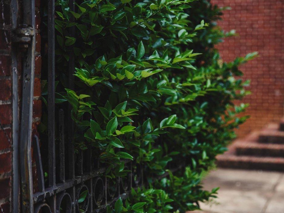 The Environmental Impact of Iron Gates – Cyclus Paper